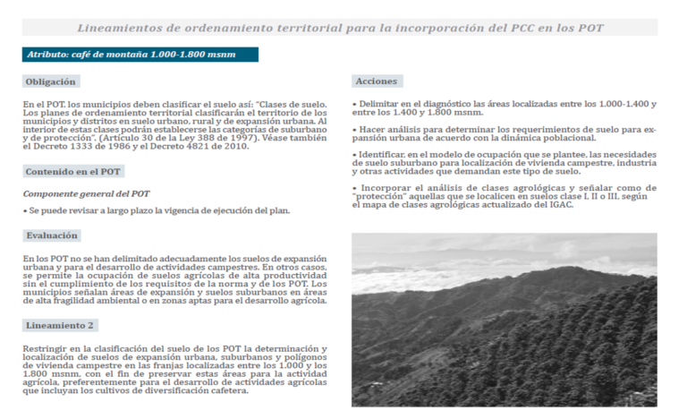 Líneamiento POT4 – PCC
