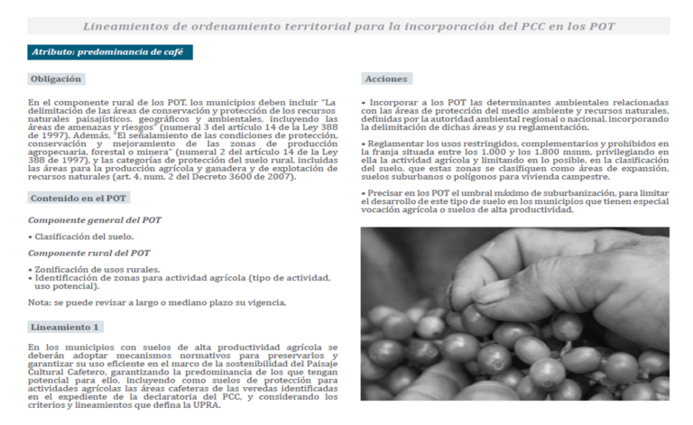 Líneamiento POT4 – PCC