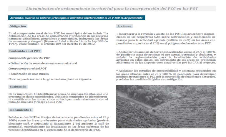 Líneamiento POT4 – PCC